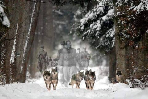 LEGACY OF INVINCIBLE SOLDIERS - 2022 WINNING ESSAY - Polonia Institute